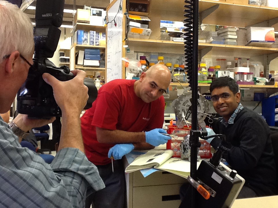 Lab Photos | Panda Lab - Salk Institute for Biological Studies